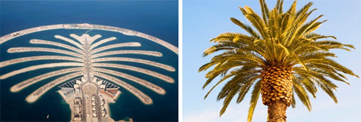 Top 10 Building Designs Inspired by Nature