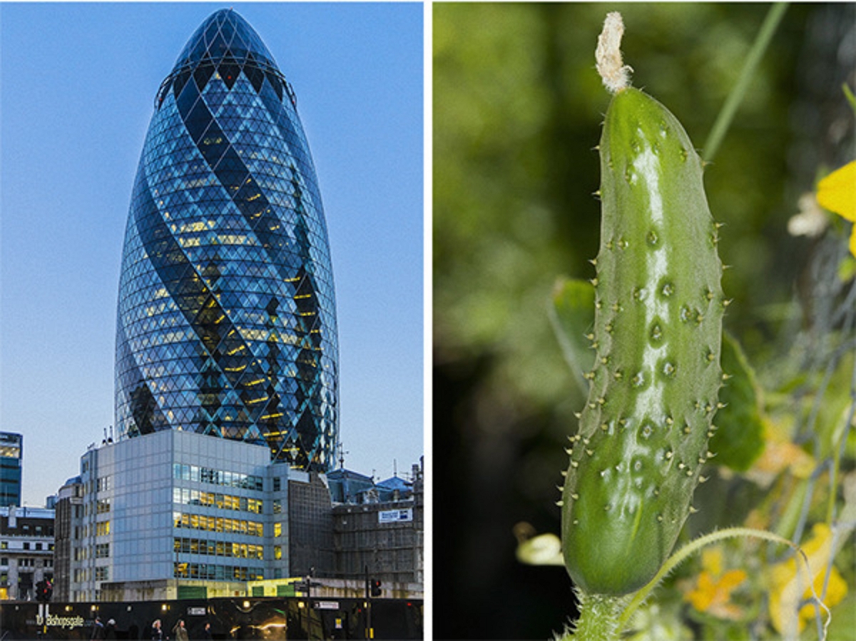 Top 10 Building Designs Inspired by Nature