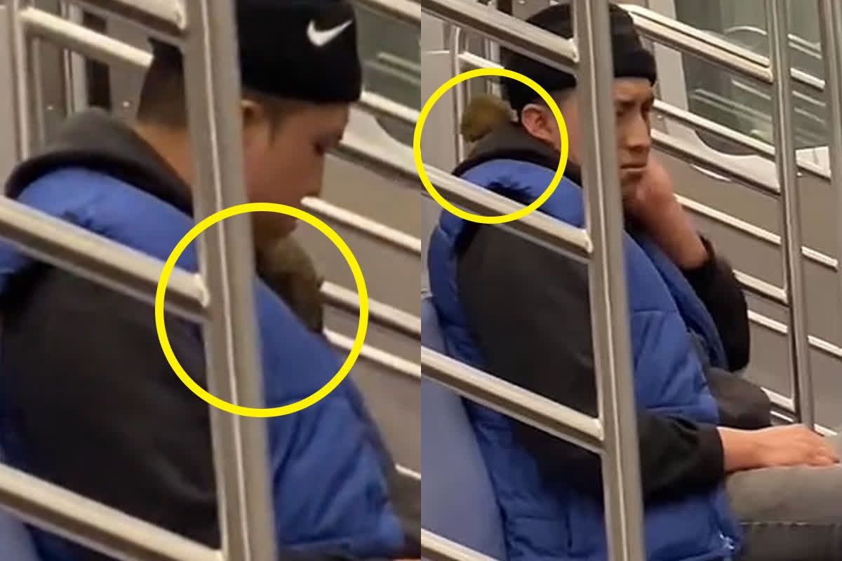 Rat-astrophe in NYC Subway! Unthinkable Photo Goes Viral