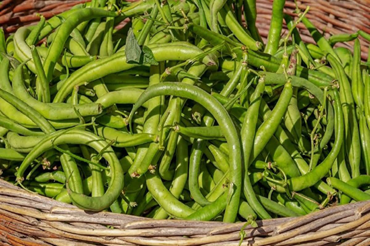 Top 10 Foods That Might Actually Make Your Kids Taller
